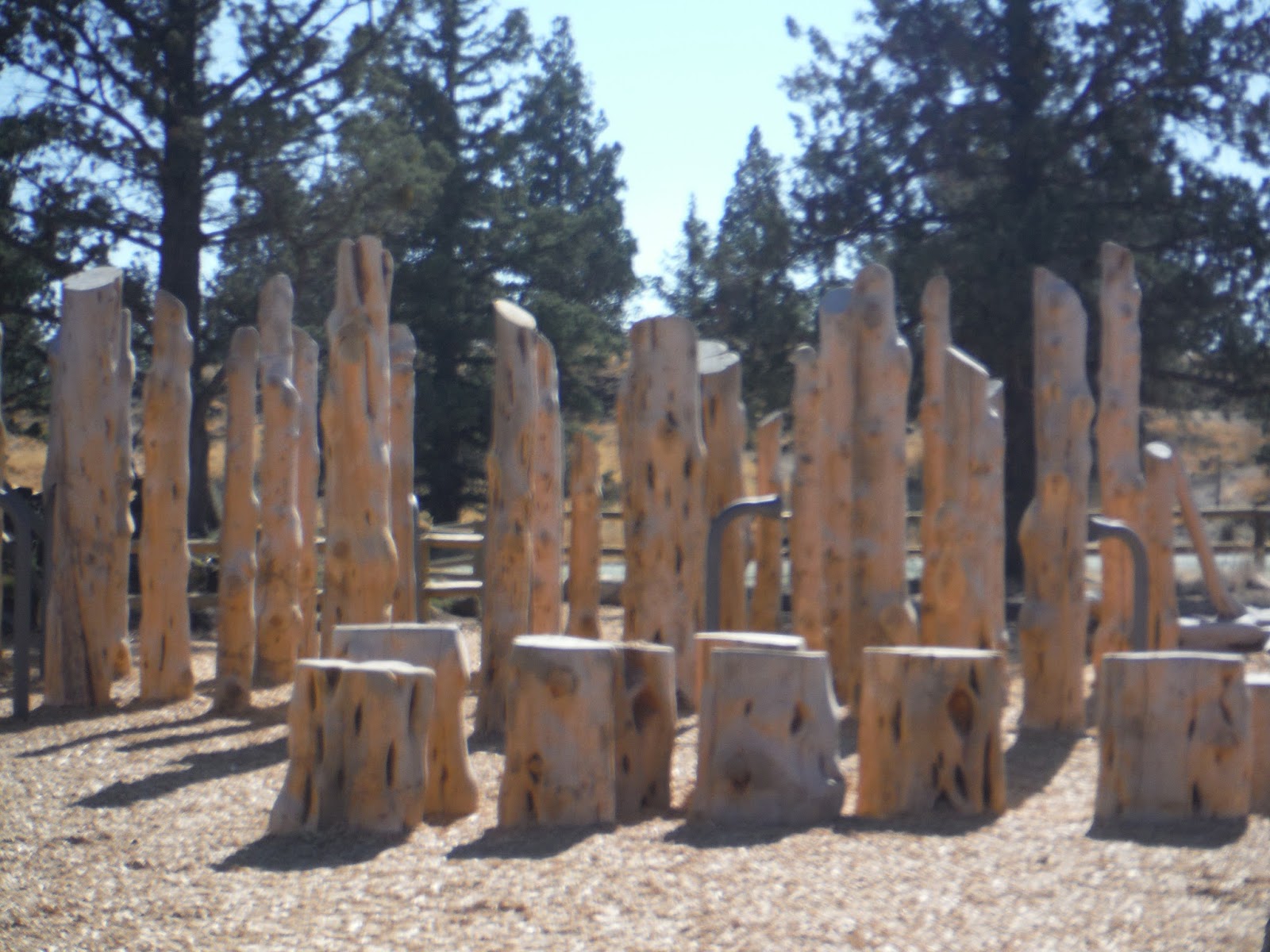 Life With Loree: Brian's Trees