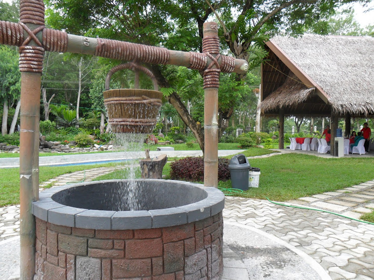 The Keeper of Spring: THE TINDALO TREE PLANTED BY PRES. MANUEL L. QUEZON