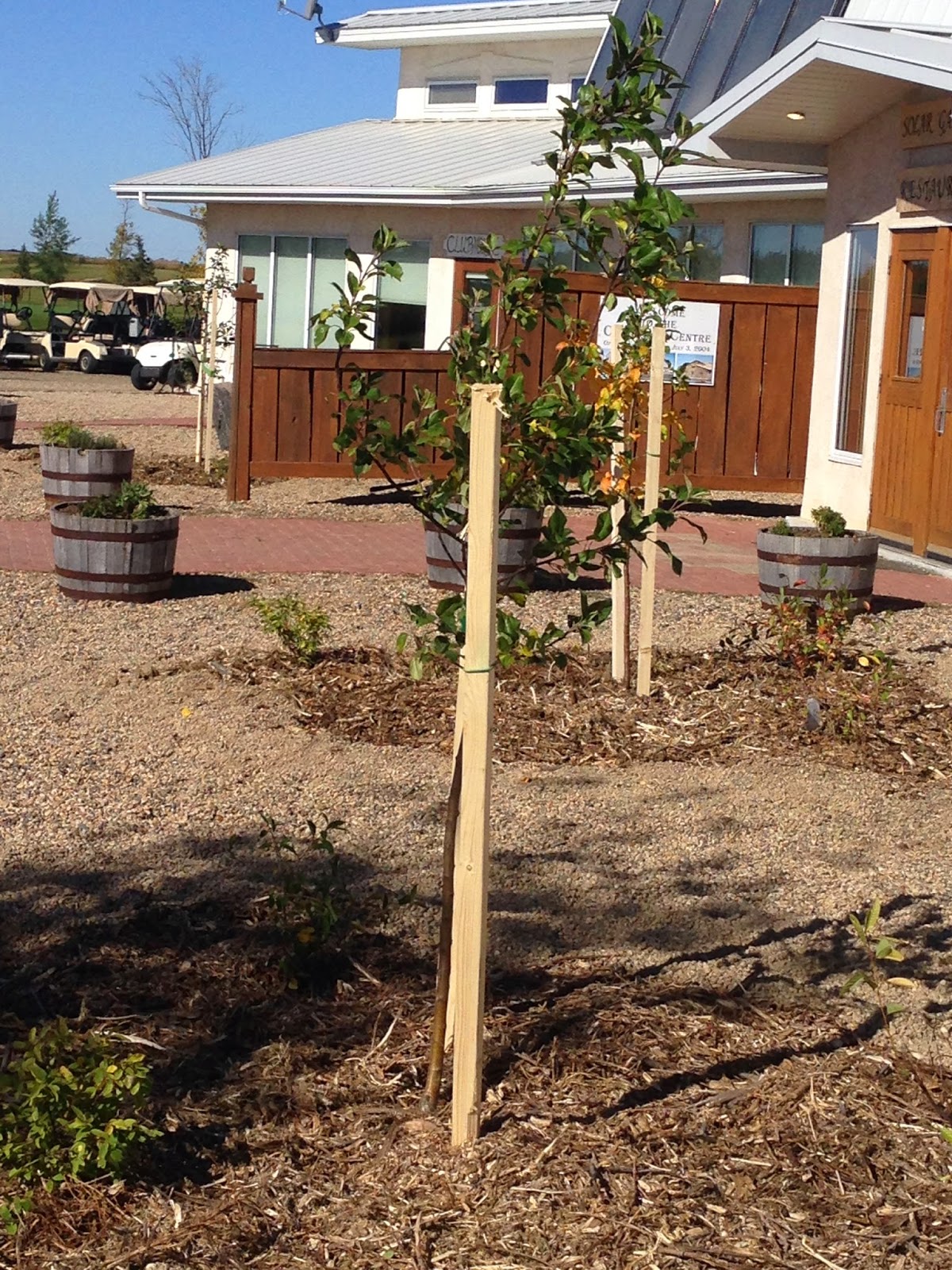 EcoFriendly Sask: Edible Gardens - Craik Sustainable Living Project