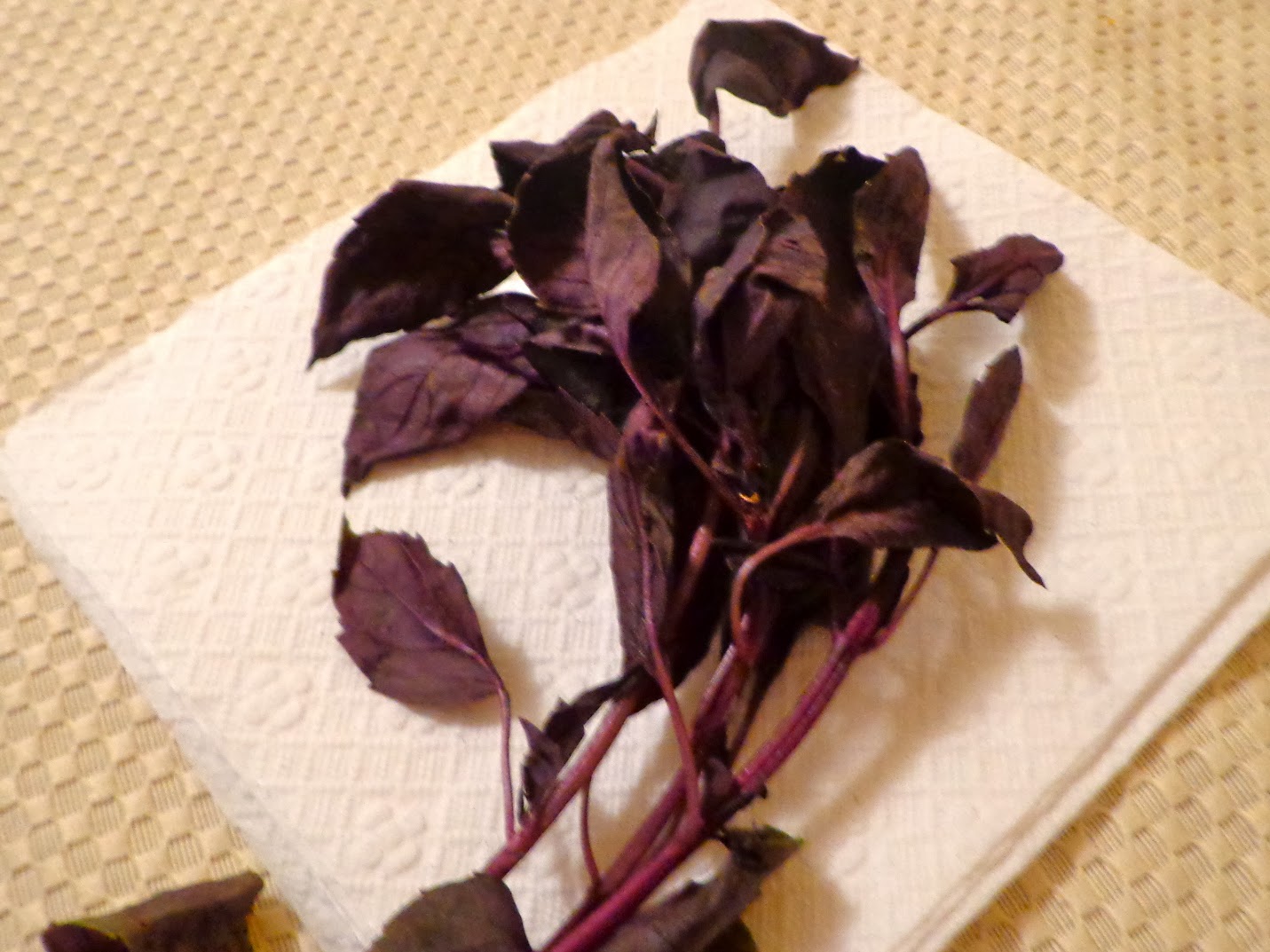 Eleni's Culinary Journey: Purple Basil
