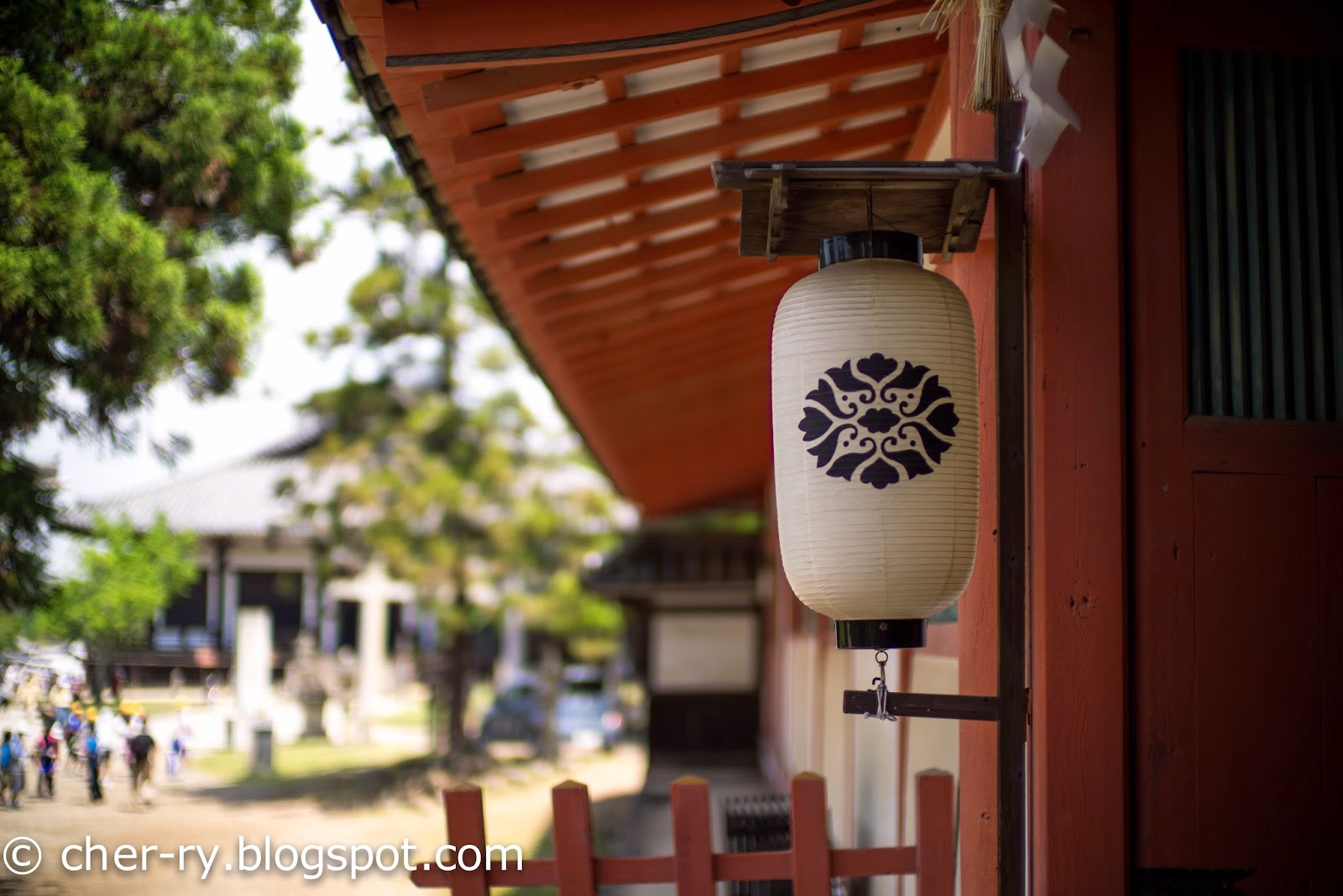 Life of a Lil Notti Monkey: Nara, Nara