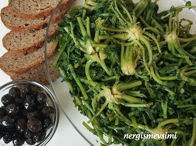 nergismevsimi: TURP OTU SALATASI