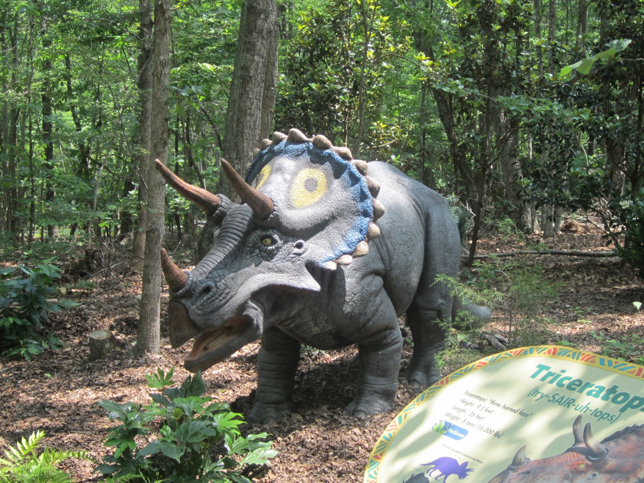 The Stir Crazy Moms' Guide to Durham: Dinosaurs at the Asheboro Zoo