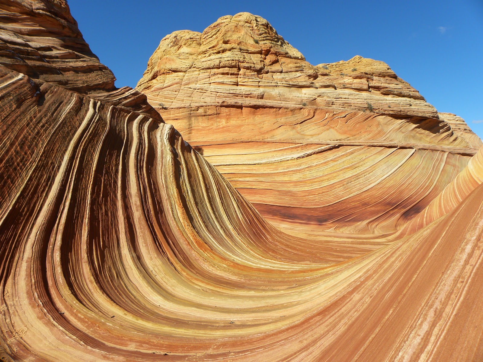 2015 TRAVELS : WE'VE HIKED THE WAVE! UTAH