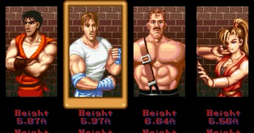 MUGEN PLAYER: FINAL FIGHT PC