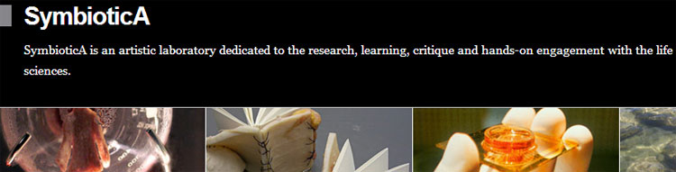 Holodeck: VICTIMLESS LEATHER