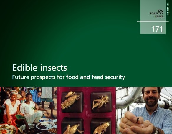 Edible Insect Network: References