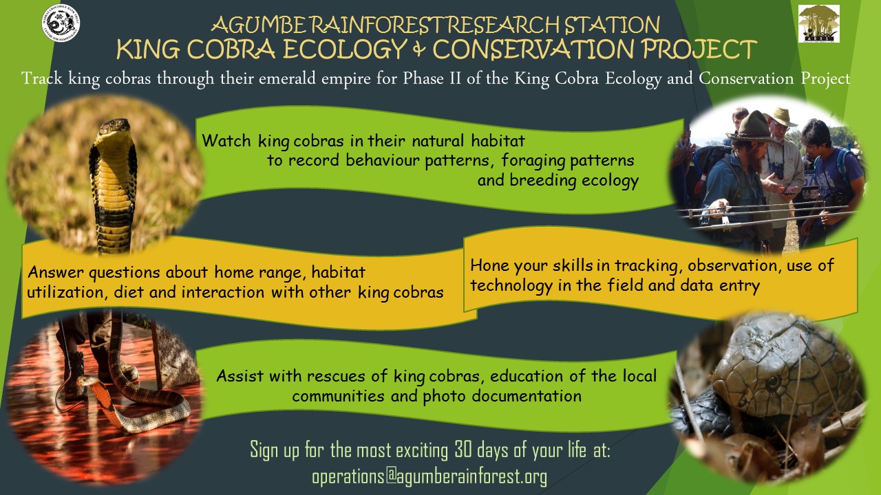 Serpent Research: THE KING COBRA ECOLOGY AND CONSERVATION PROJECT