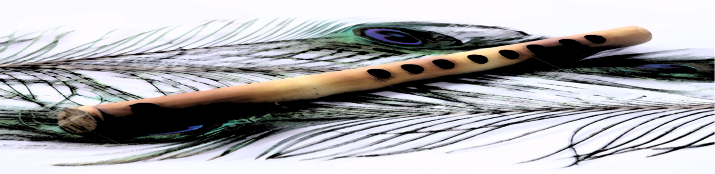 Lecture 1: Anatomy of the Carnatic Flute - Aadishabdam