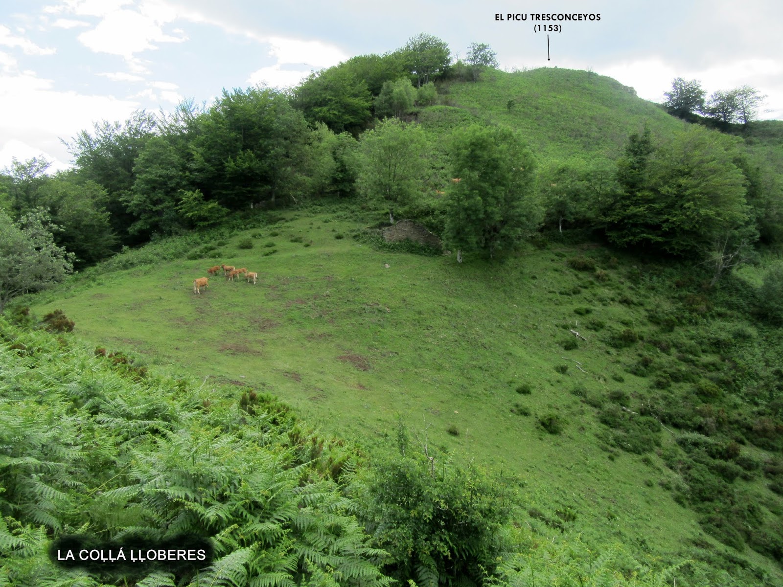 Pindio, pindio: Uriés-Tresconceyos-Cuetu Ventosu-Grandes