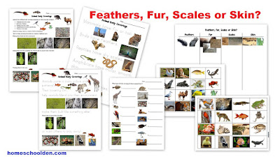 The Homeschool Den: Living and Non Living Sorting Activities