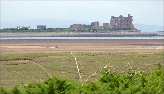 Wild and Wonderful: Holiday 3: A Day on Walney Island