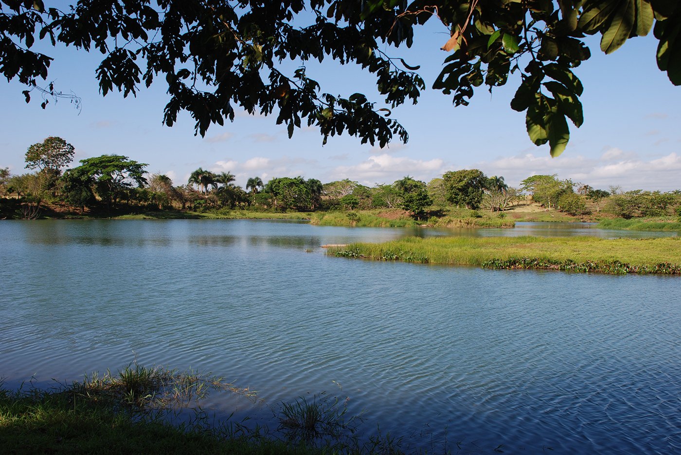 Historia de Los Mina: El Río Ozama y Sus Areas Protegídas (Capítulo II ...