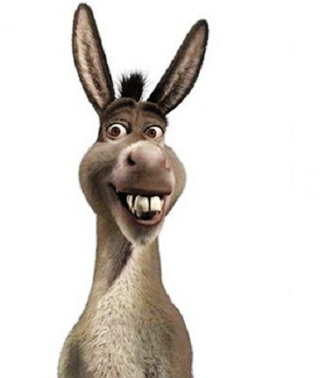 Burro De Shrek Imagui