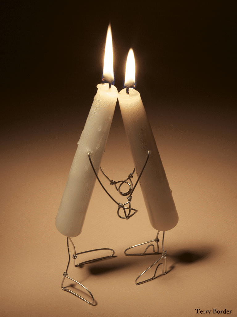 They're Hot for Each Other