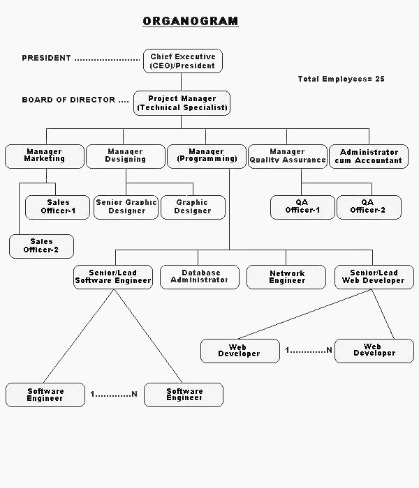 Pakistan Information Technology