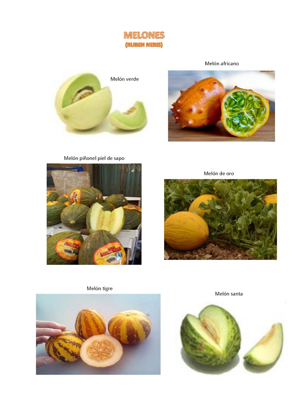 FRUTAS Y VEGETALES EXÓTICOS