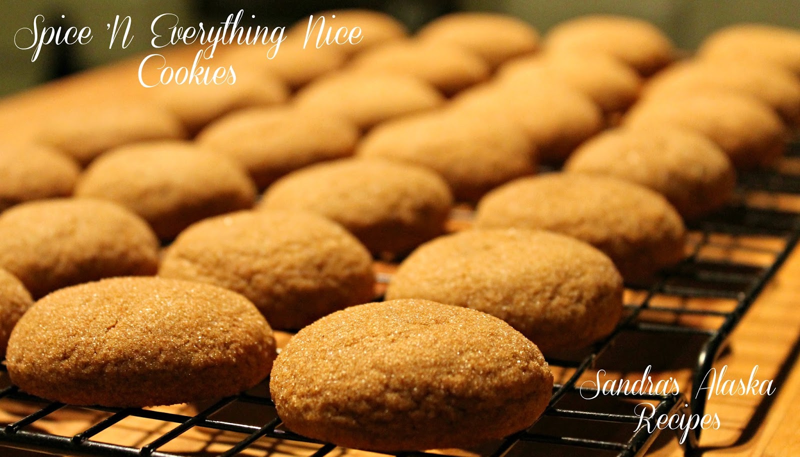 Sandra's Alaska Recipes: SANDRA'S SPICE 'N EVERYTHING NICE COOKIES
