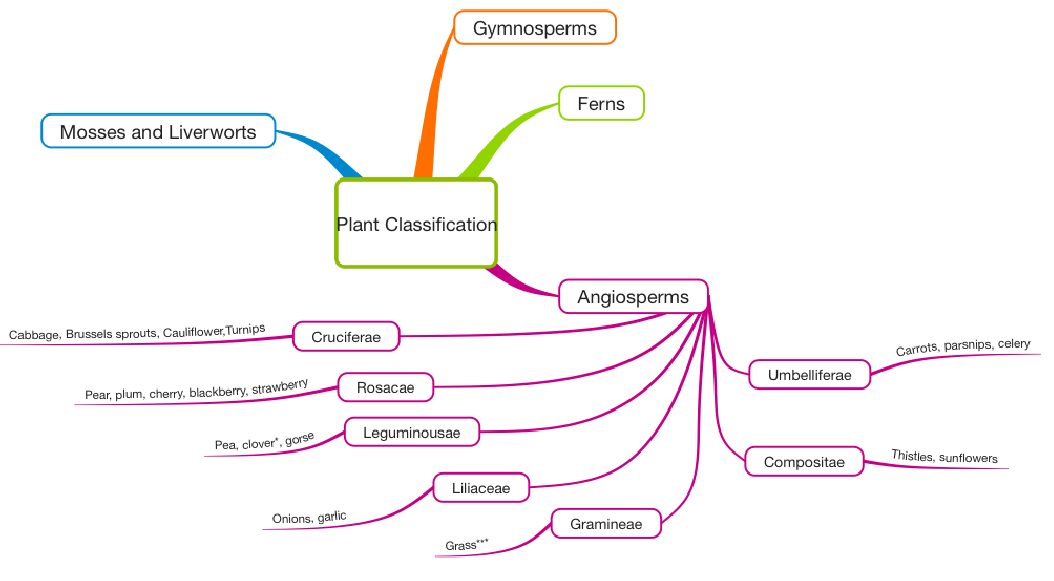 Magh Ag Sci: Plant Classification