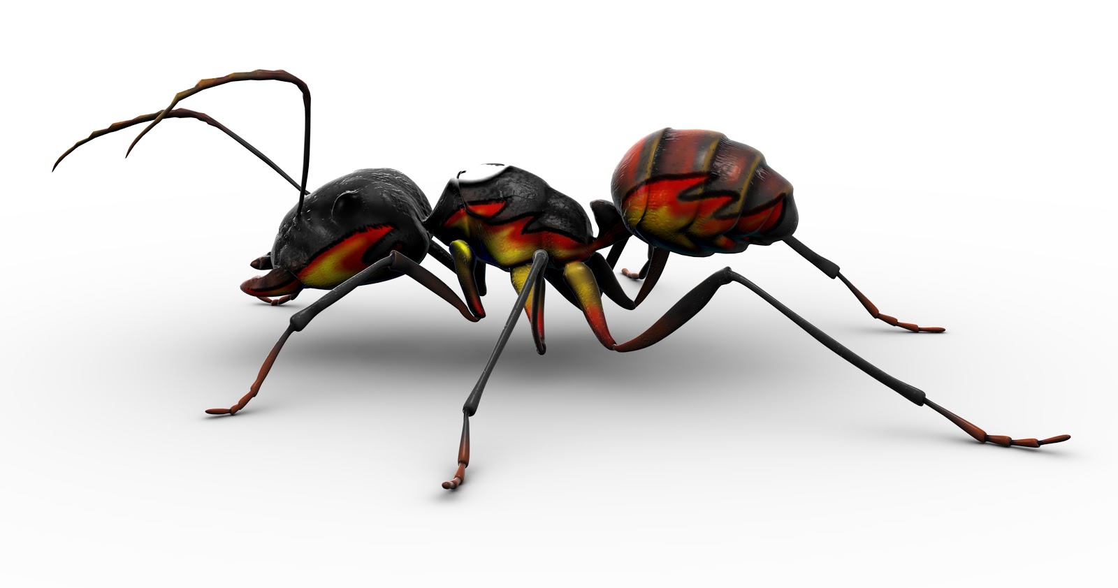 Catch My Words: Theme Thursday: Ants