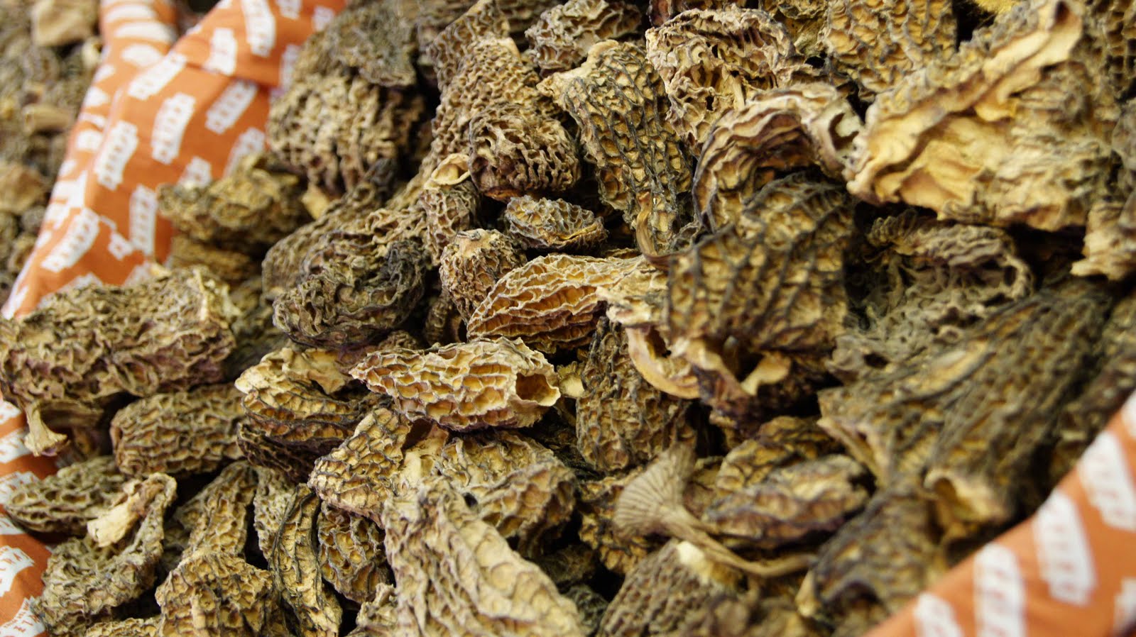 La Plaça Mercat d'Olot: El plat del dia: Múrgoles!