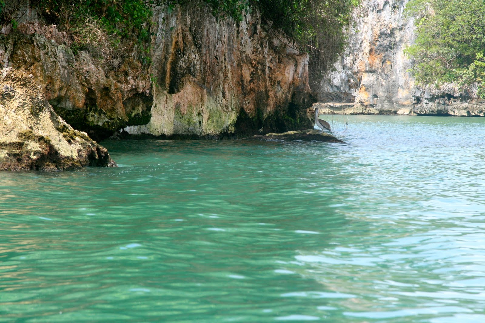 Finally Fun!: To Samana Bay, Dominican Republic