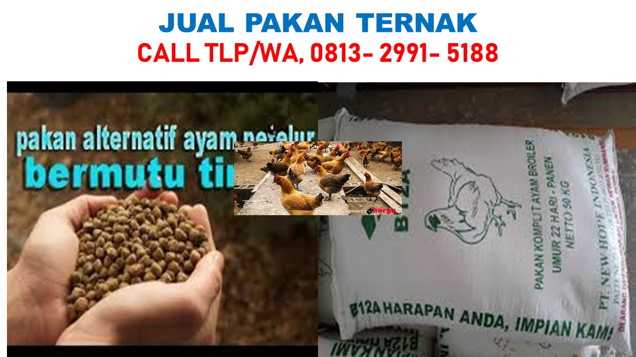 Komposisi Pakan Ayam Broiler-Tlp/sms/WA : 0813-2991-5188