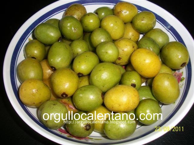 Soy de Tierra Caliente: Frutas - Olores, sabores y colores de Tierra ...