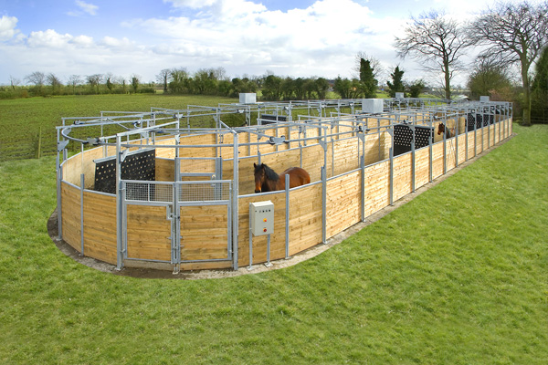 Roosa's Horsey Life: 30 Day Equestrian Challenge, Day #14