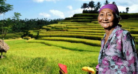 Seharusnya Petani Indonesia Kaya Raya | Mesin Pertanian Modern