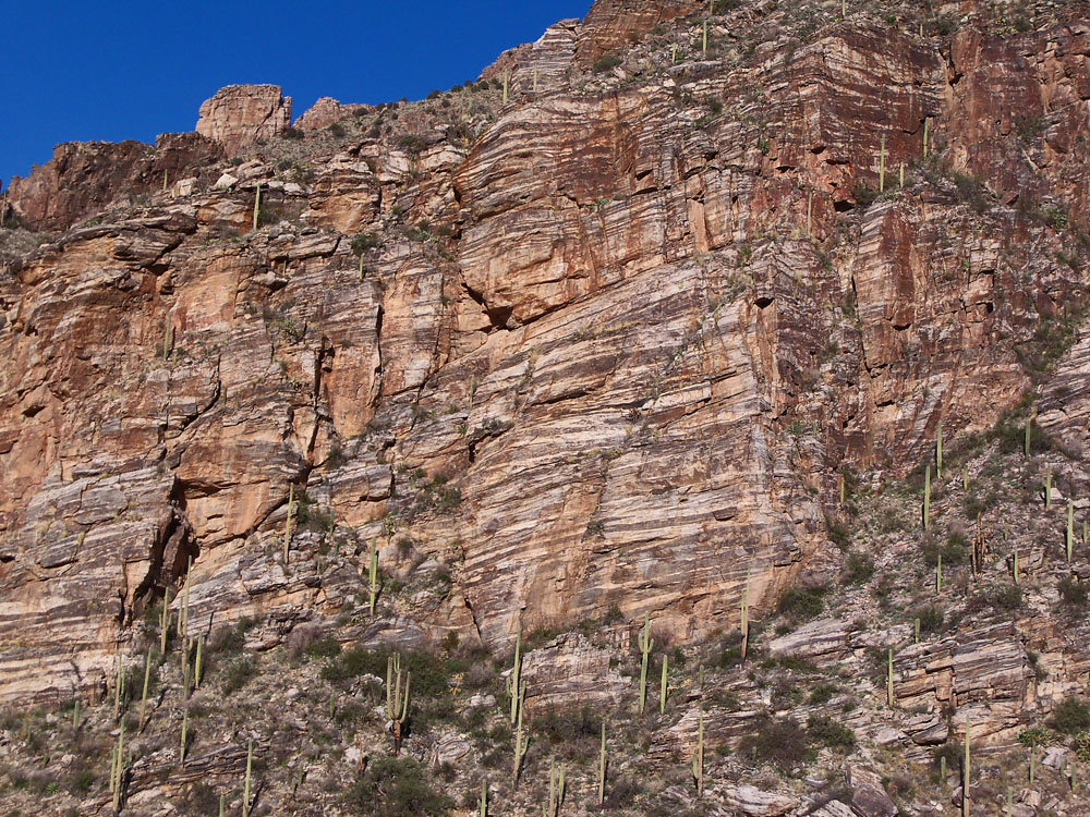 Sharon's Tucson Wilderness: Picacho Peak