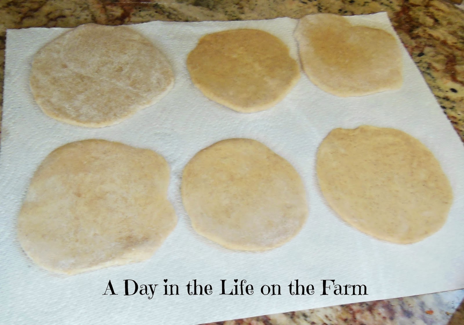 A Day in the Life on the Farm: Food n Flix-Cream Fritters ala Like ...
