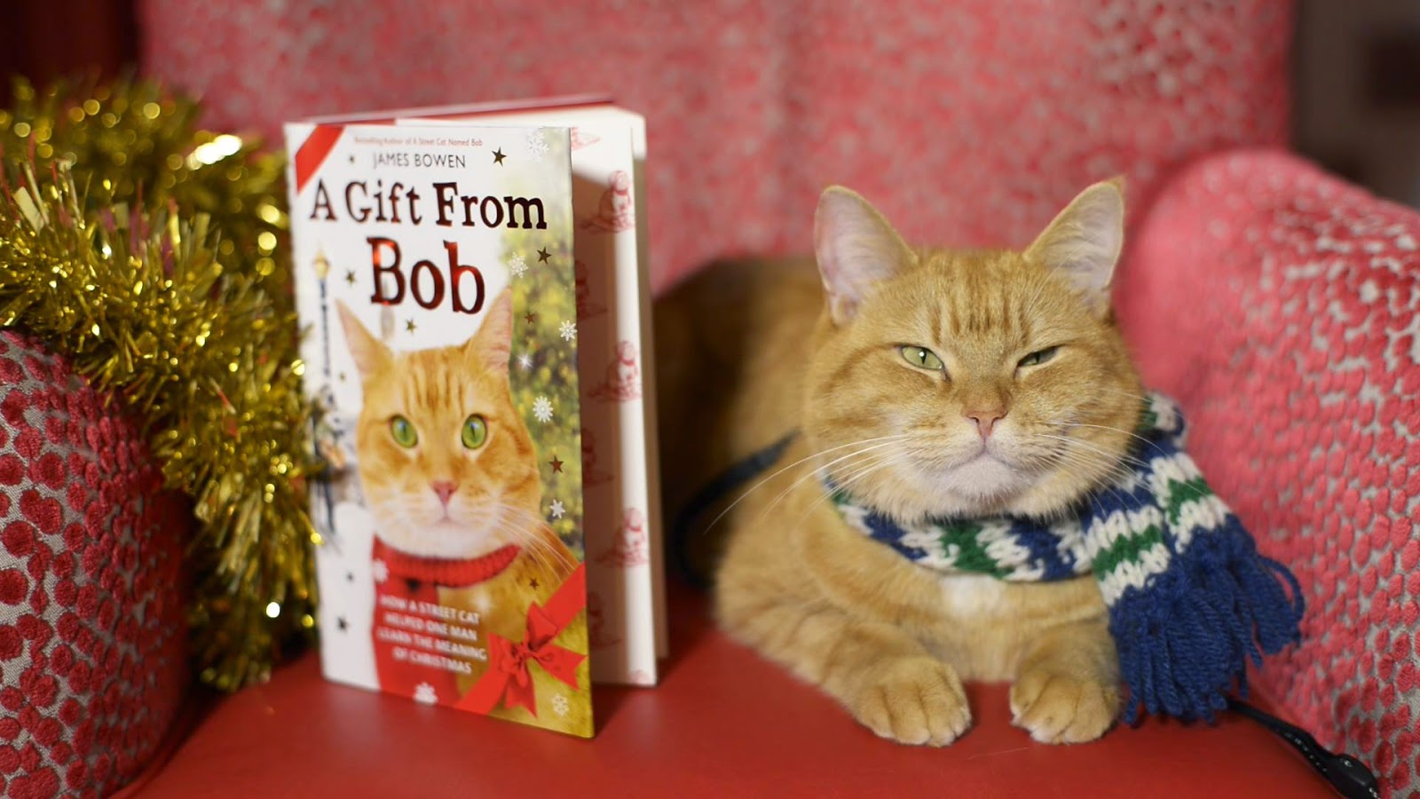 The Street Cat Named Bob: James Bowen & Street Cat Bob - A Gift From Bob