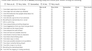 State-Trait Anxiety Inventory