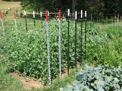 And The Season Begins- Chad Brock Red Bird Mission - Grow Appalachia