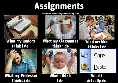 Best Funny and Amazing Pictures: Funny Fact about Assignment Prepartion