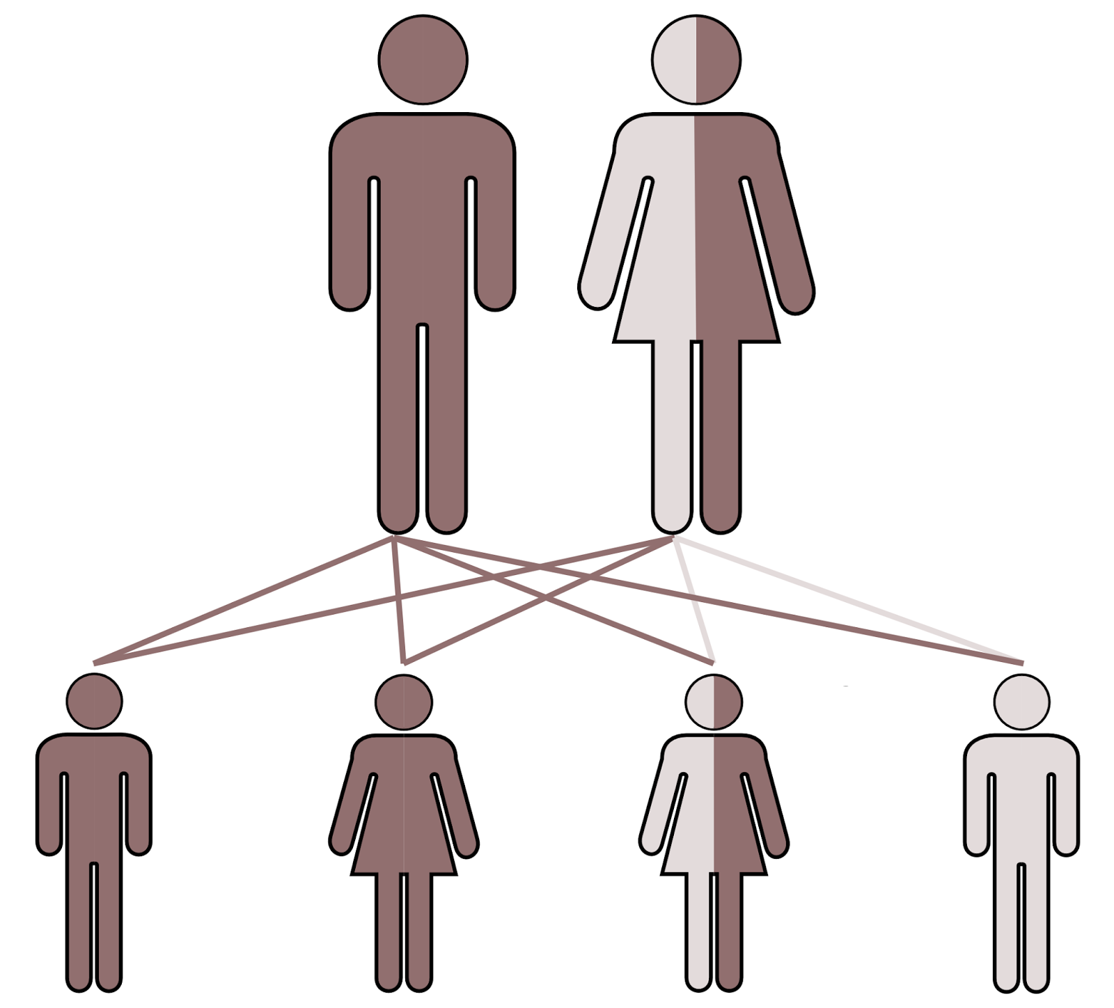 mod & misc: Veranlagung und Vererbung