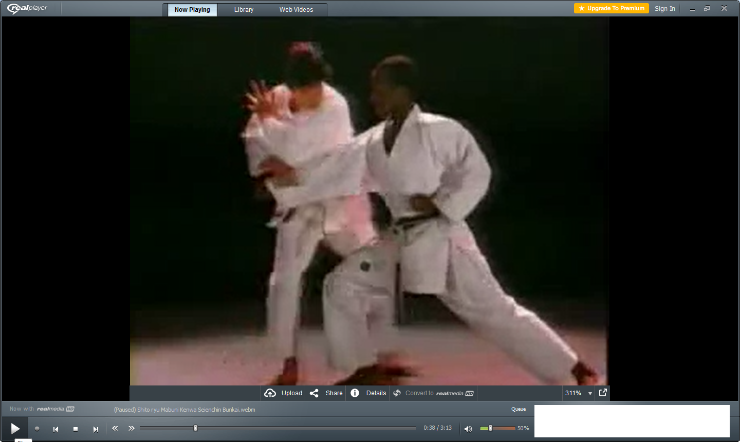 Isshin - Concentration the Art: More on one Mabuni Seienchin Kata ...