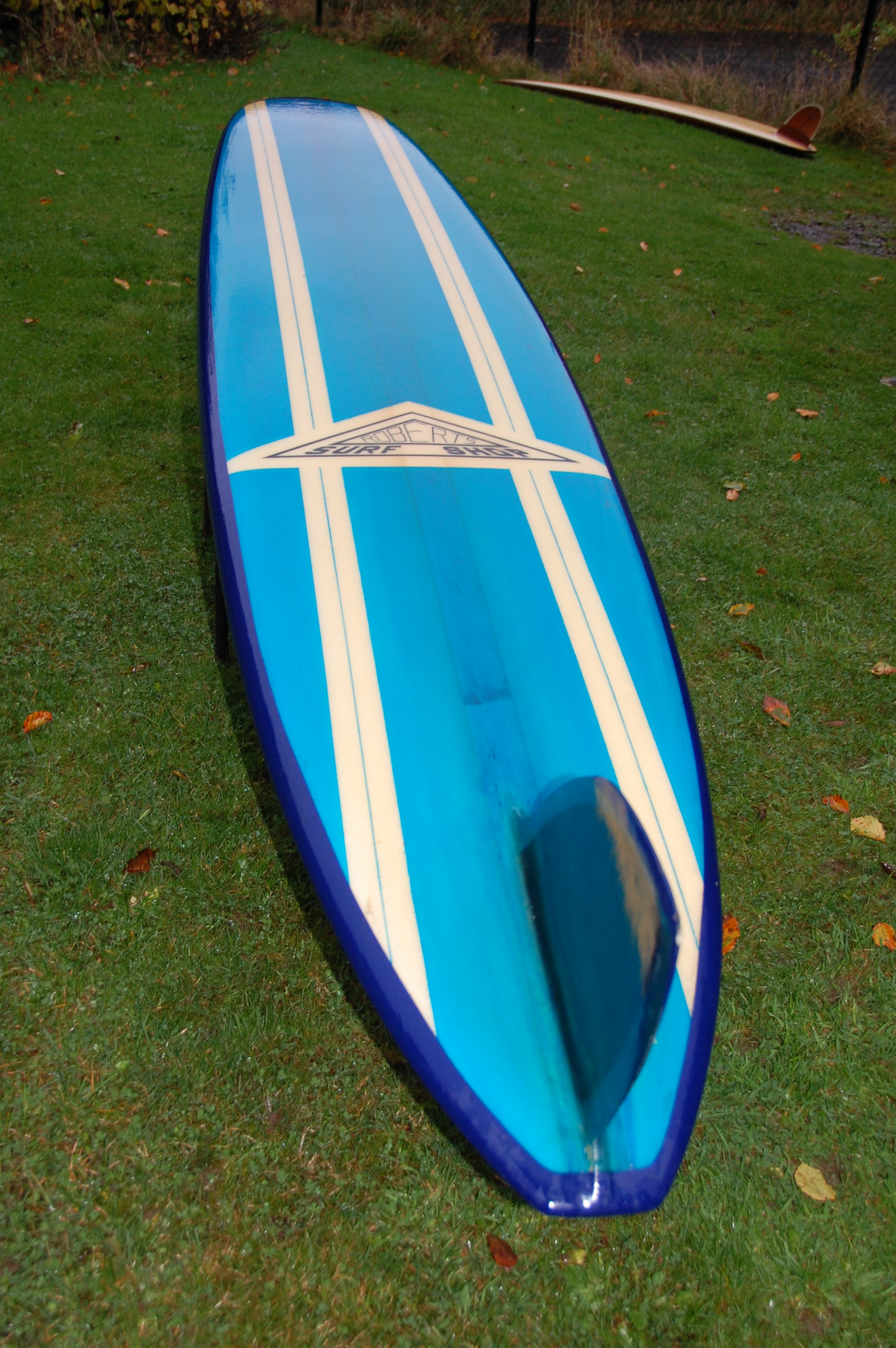 D Fin Longboard at Claire Grissom blog