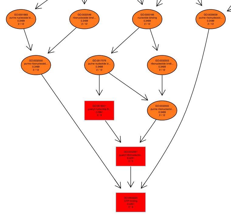 avrilomics: Using TopGO to test for GO-term enrichment