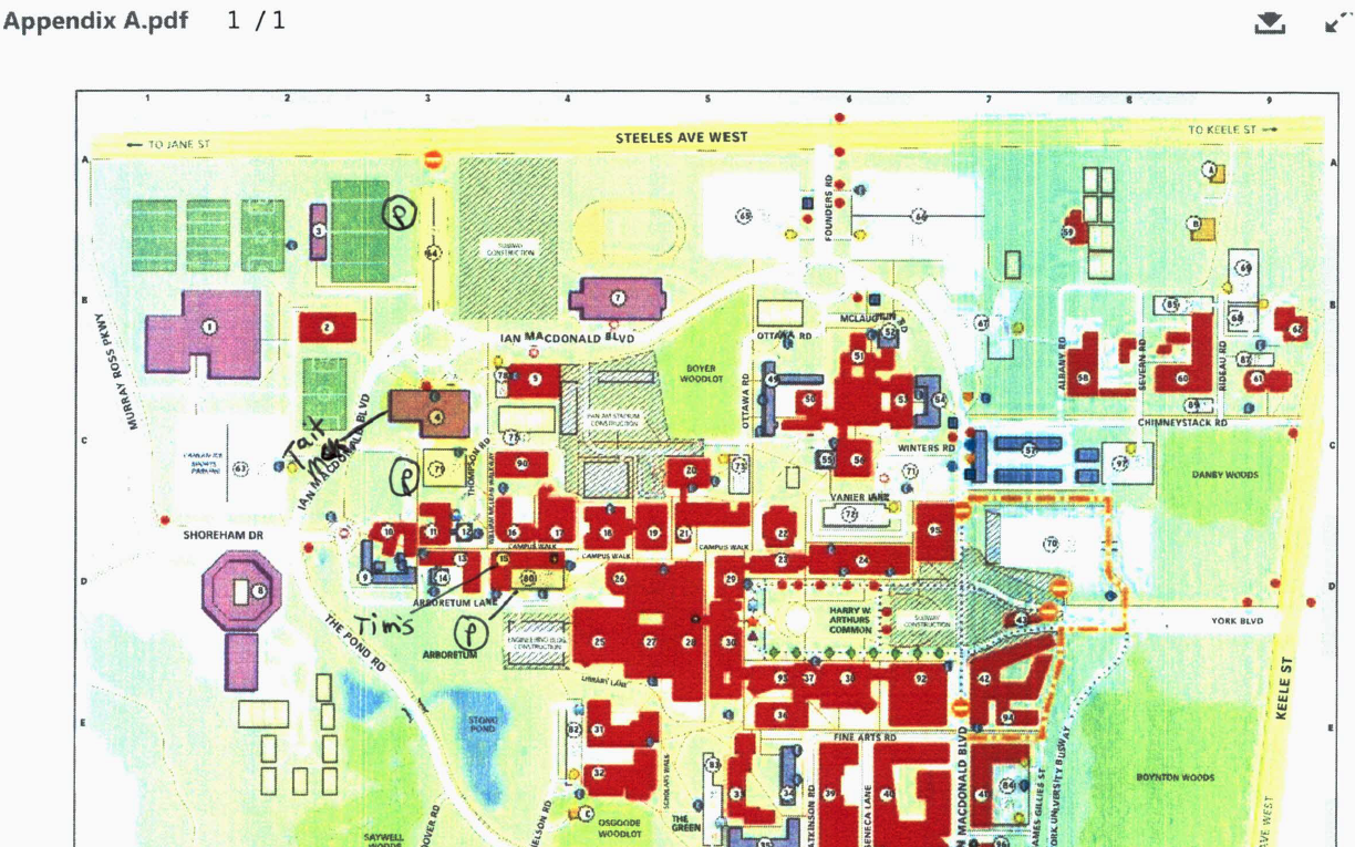 OAKVILLE GYMNASTICS CLUB TUMBLING PROGRAM: November 2015