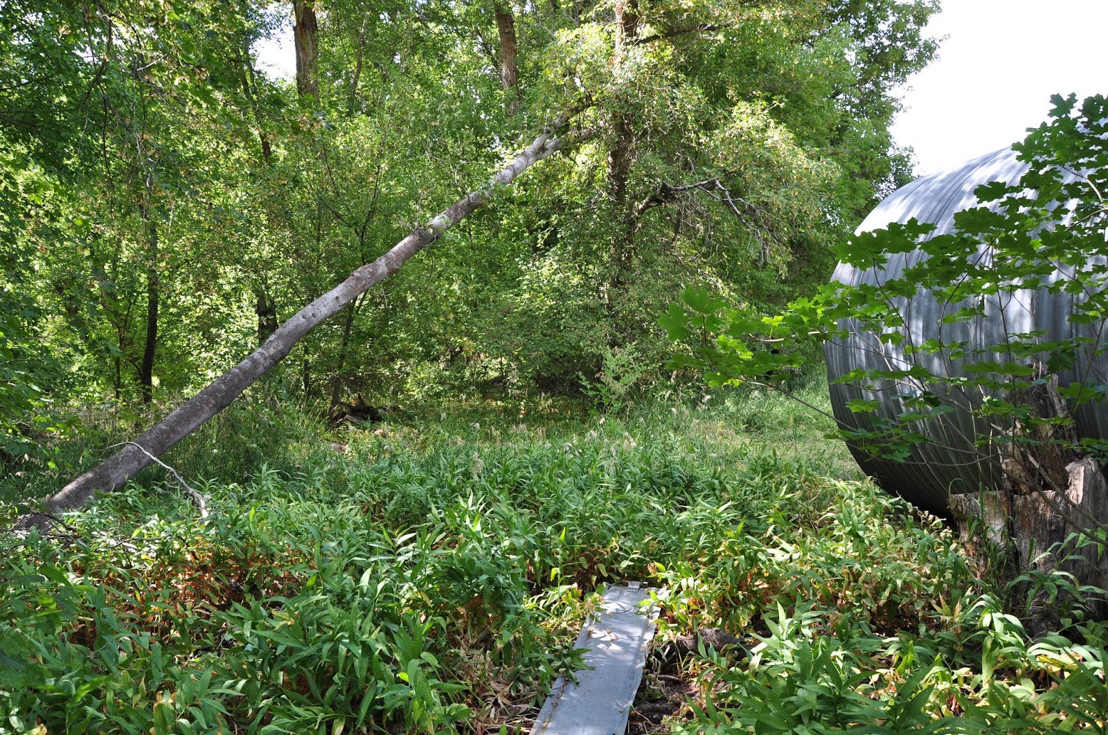 Jolley's Ranch: On-Site Possibilities