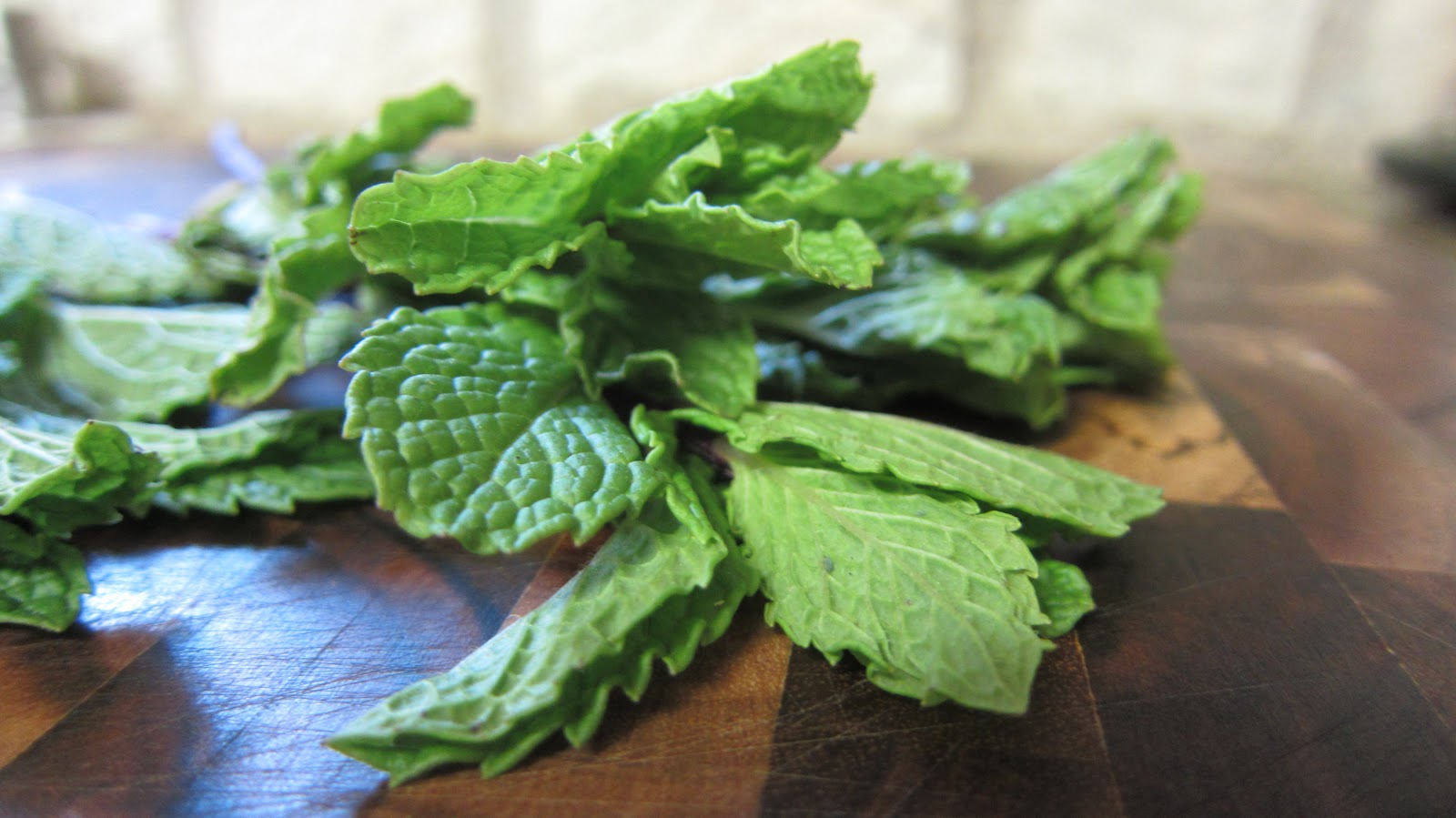 Tidbits & Thyme: Lamb Kebabs with Mint Yogurt Dip