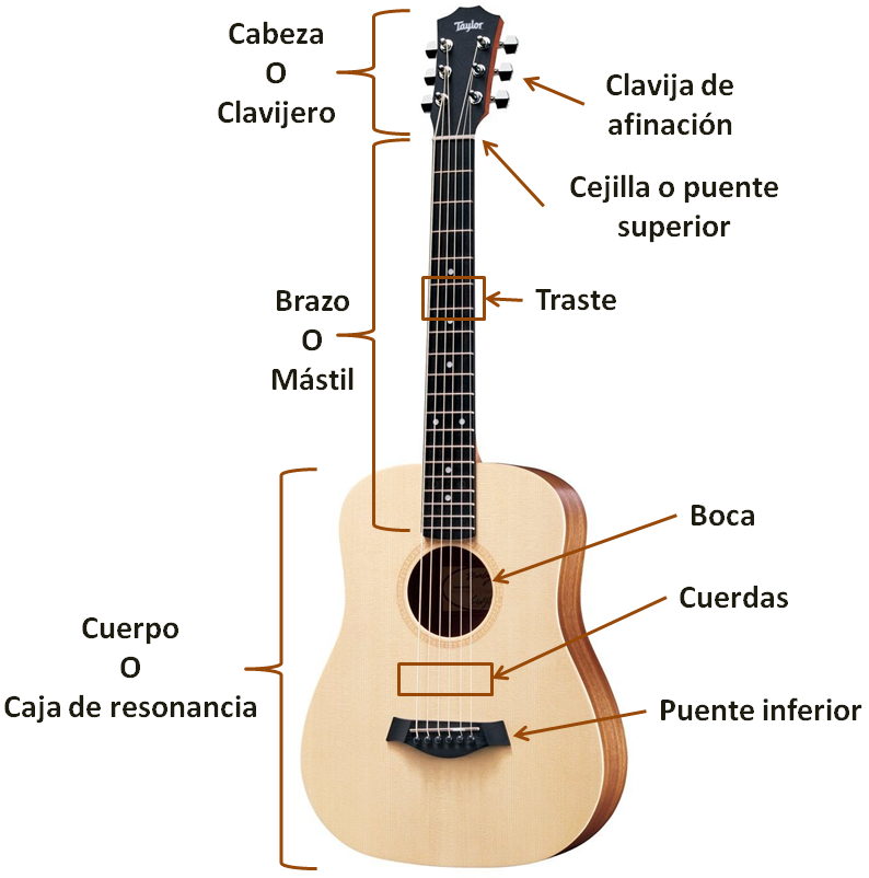 Bases de la guitarra: Partes de la Guitarra