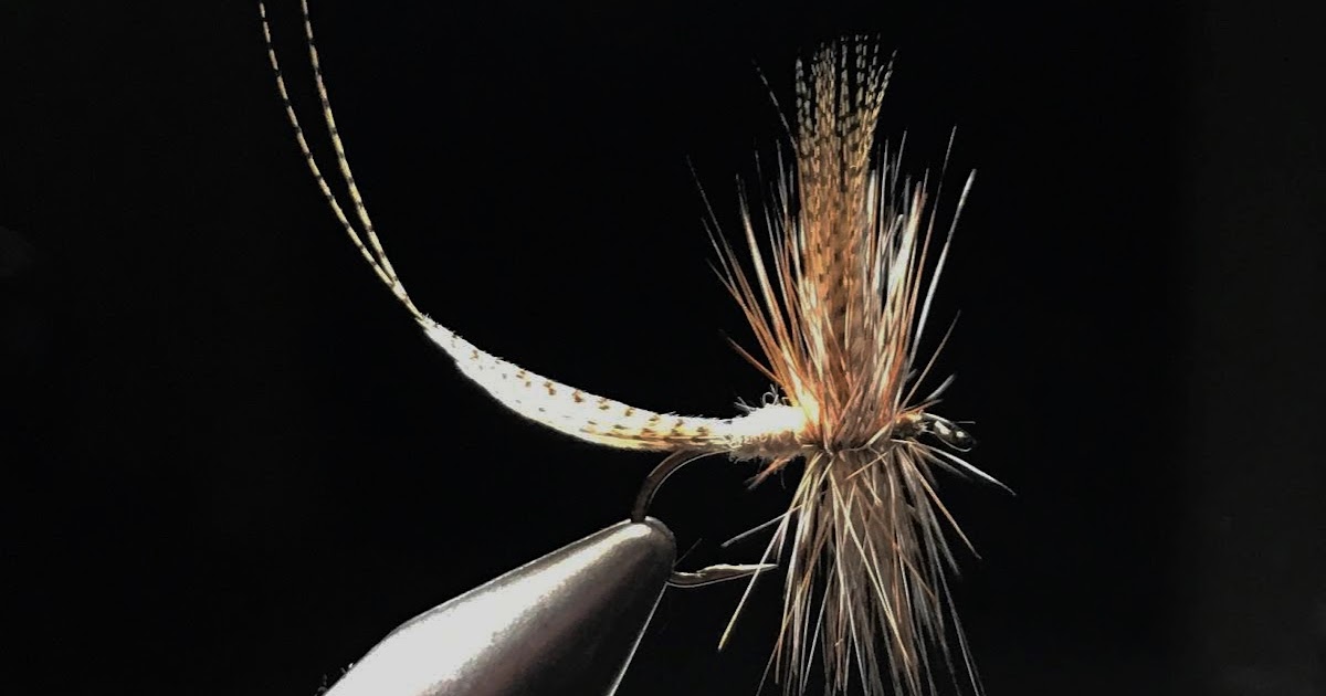 Caddis Chronicles: Why Does an Imitation Fly Work?