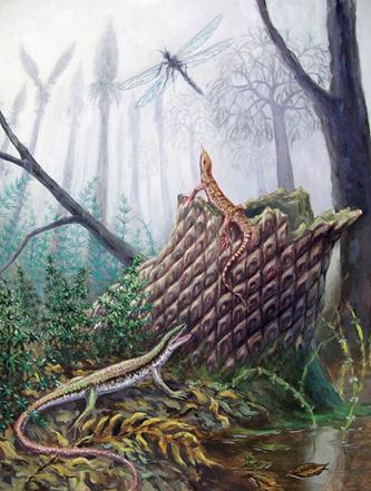 Blog de la Vida Prehistórica: Hylonomus