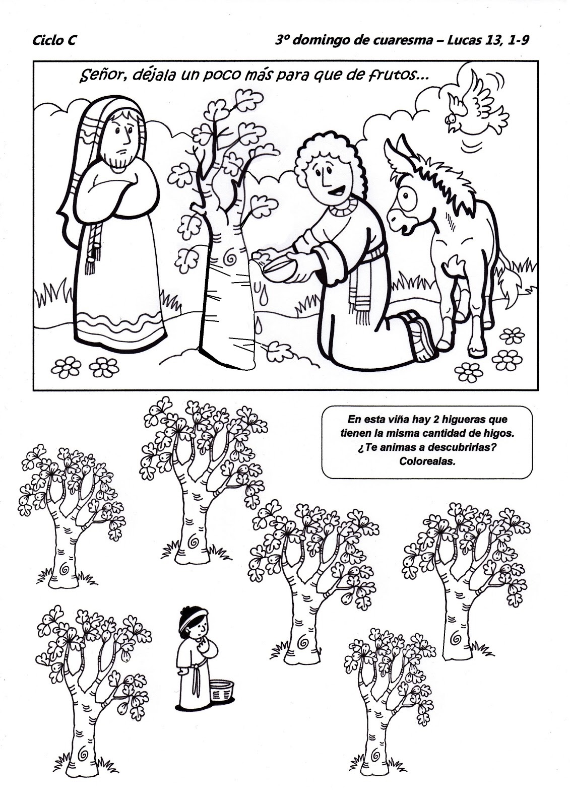 Educar con Jesús: Yo cuidaré la higuera (CUC3)