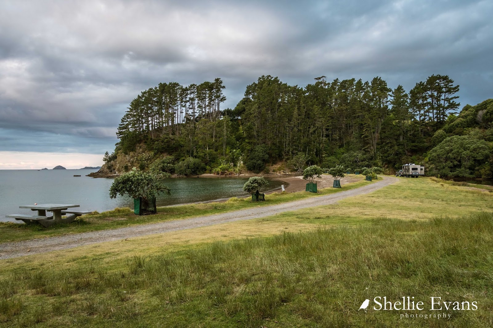 Two Go Tiki Touring: Magical Mahinepua Bay, Northland