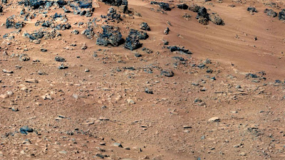 Tikus dijumpai di Marikh? (4 foto)