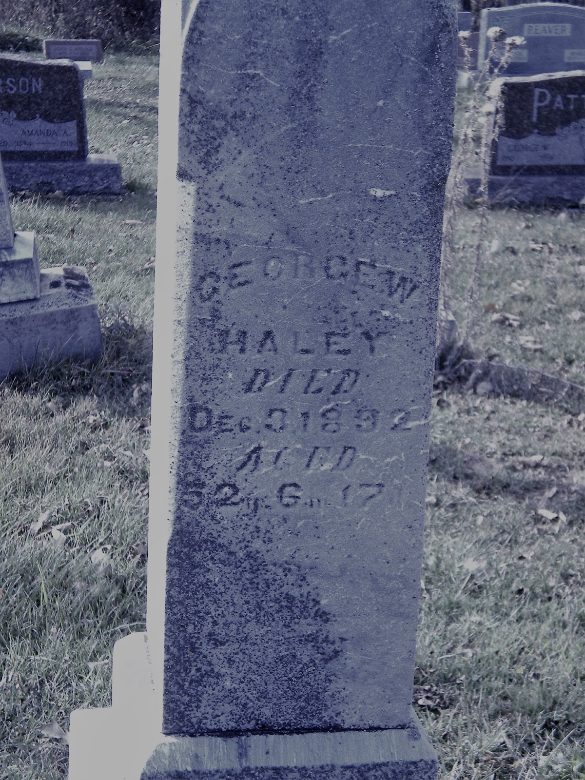 TJL Genes : Preserving Our Family History: 2018